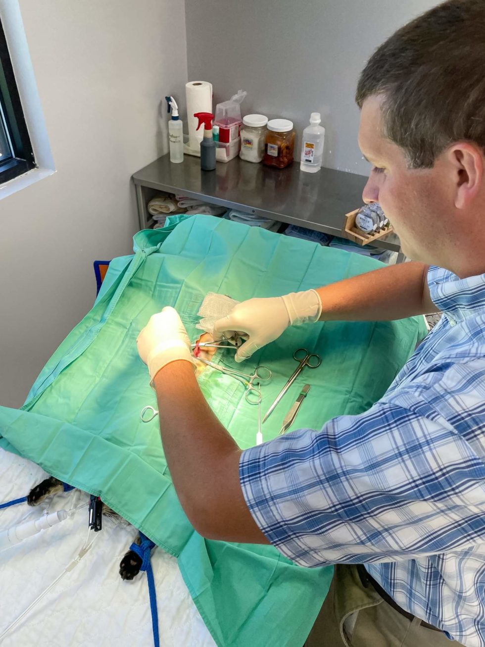 Our Doctors | Jersey Calhoun Veterinary Hospital